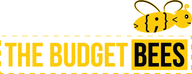 Budgetbees Low Cost Website Design Services in Coimbatore